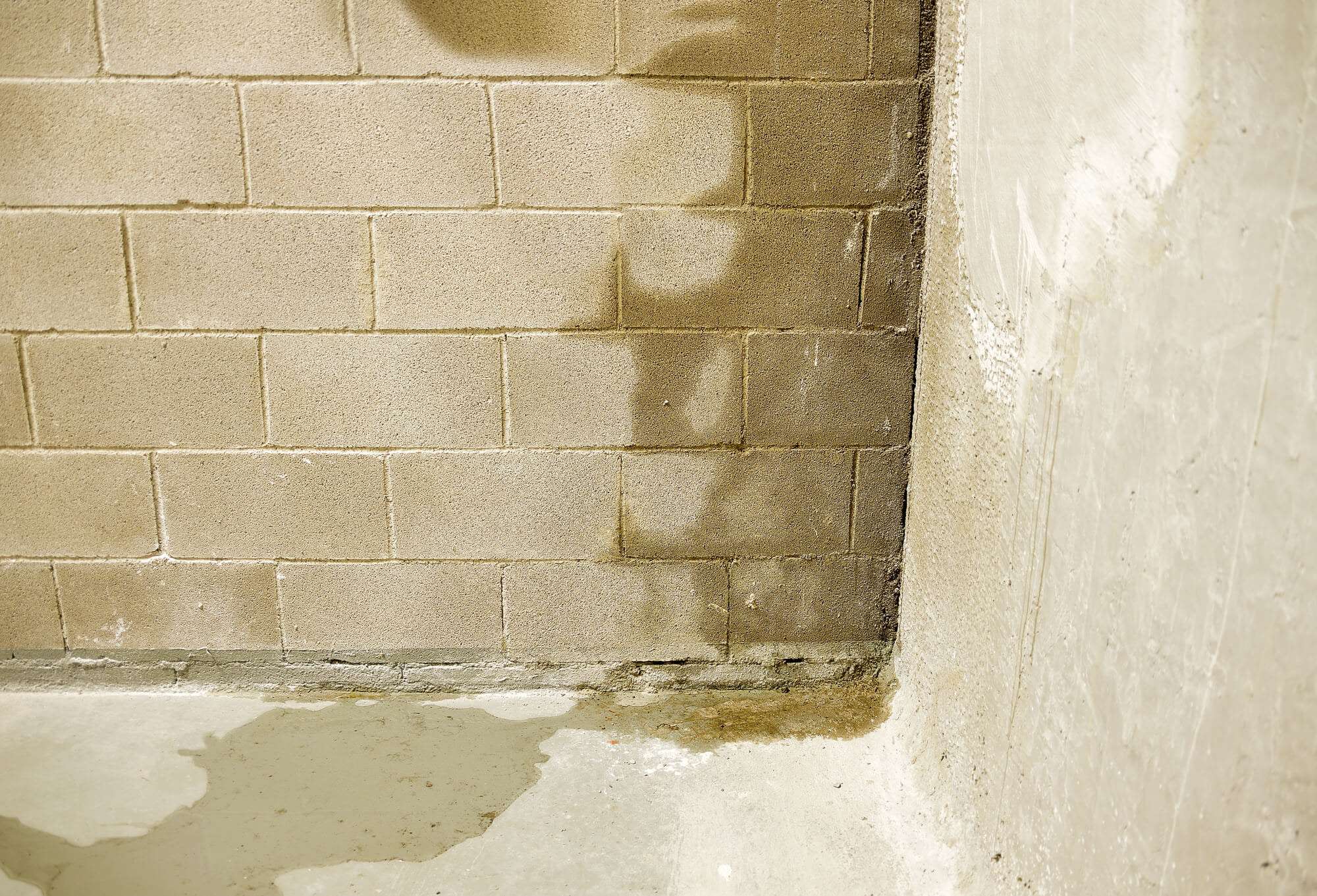 6 Retaining Walls & Dry Basements: Big TipsDrainage & Waterproofing ...