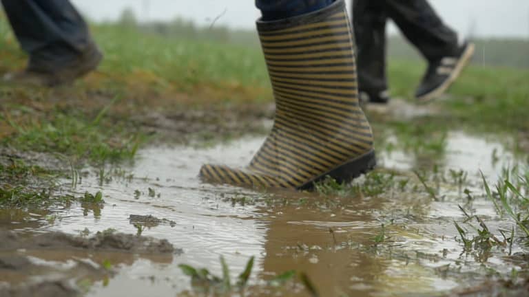 Muddy Yard: Why? 4 Big Tips