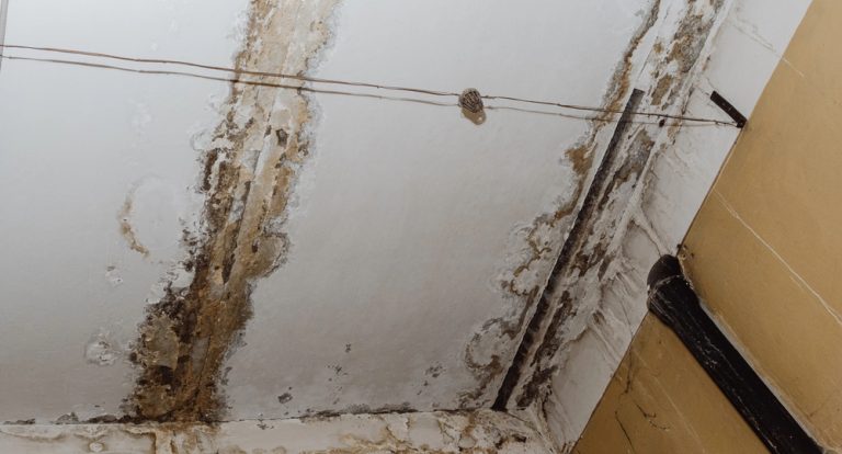 Tips To Prevent Mold and Mildew in Basements
